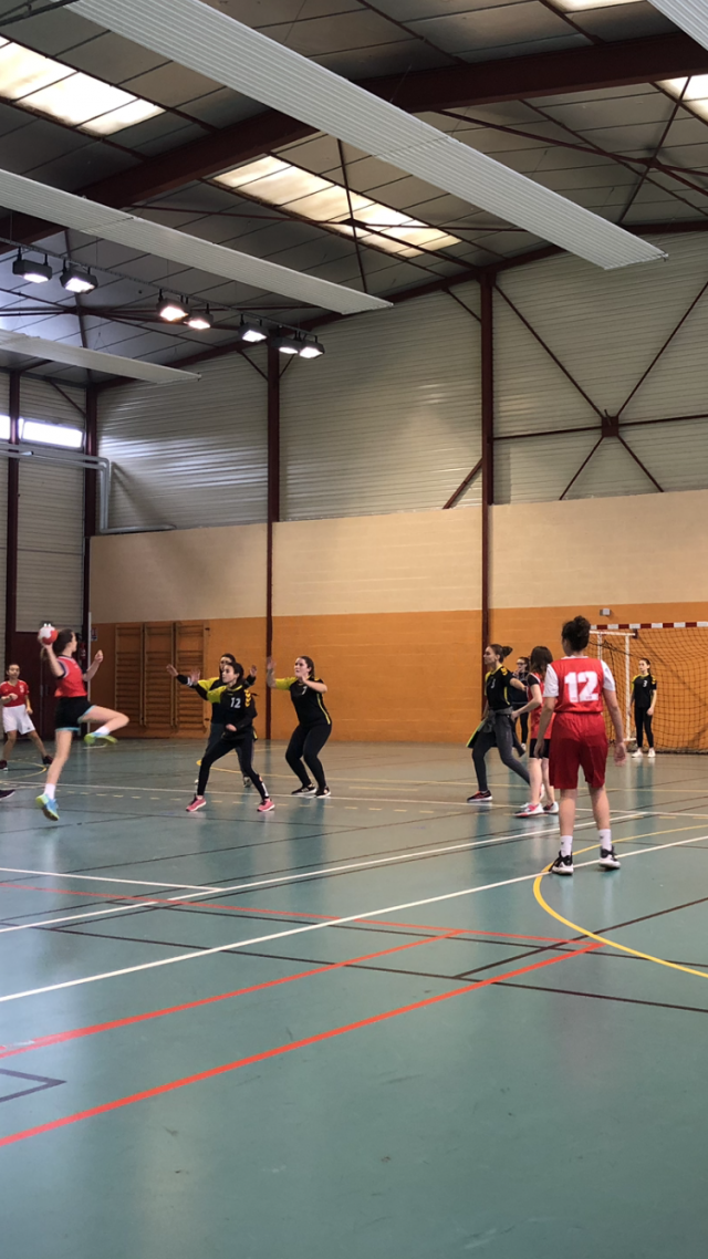 Handball - Collège PS de Laplace